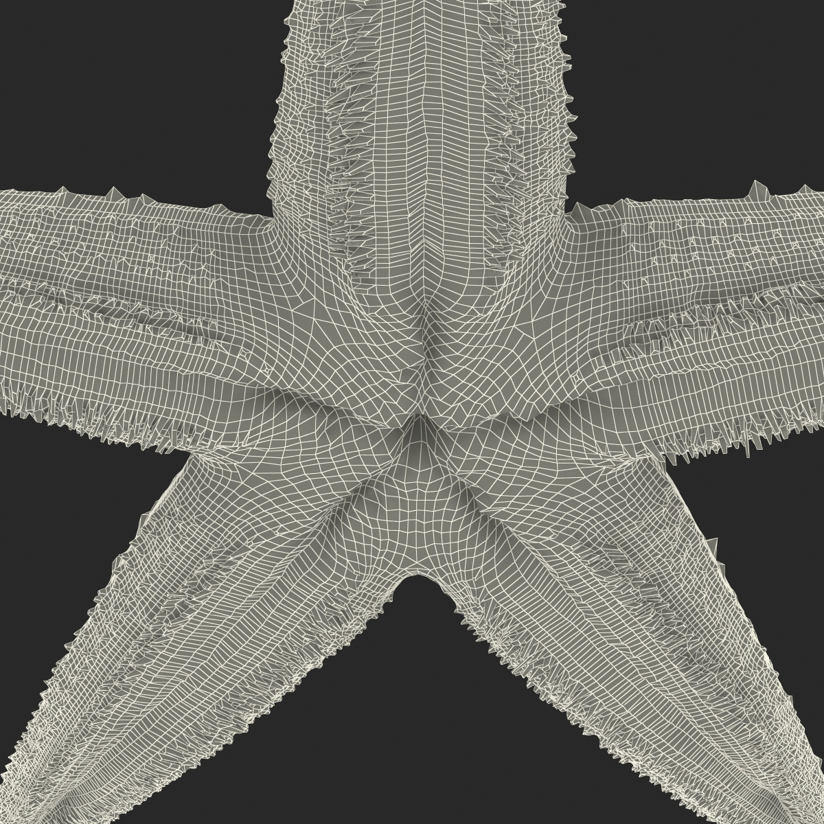 3d model starfish 2