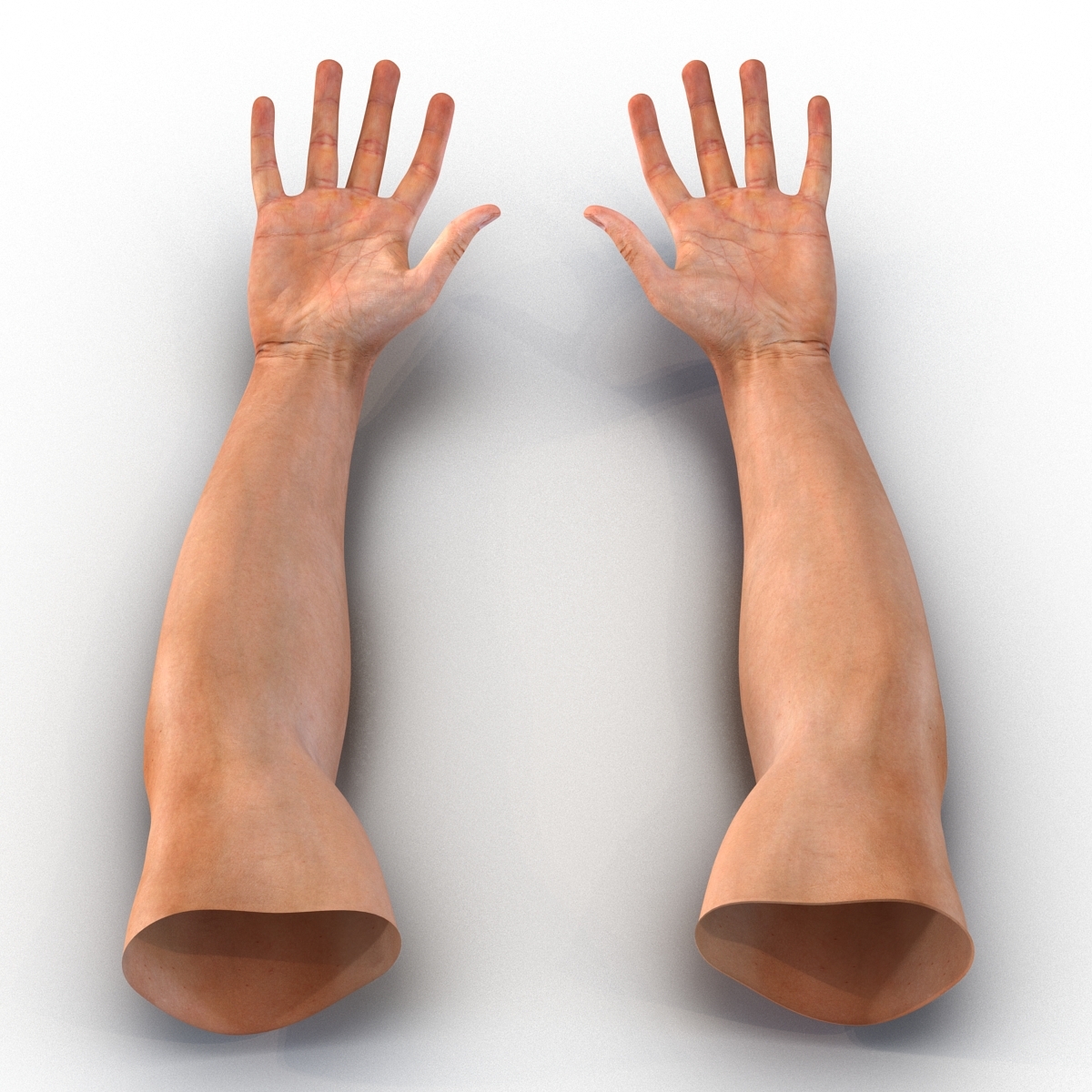 3d man hands model