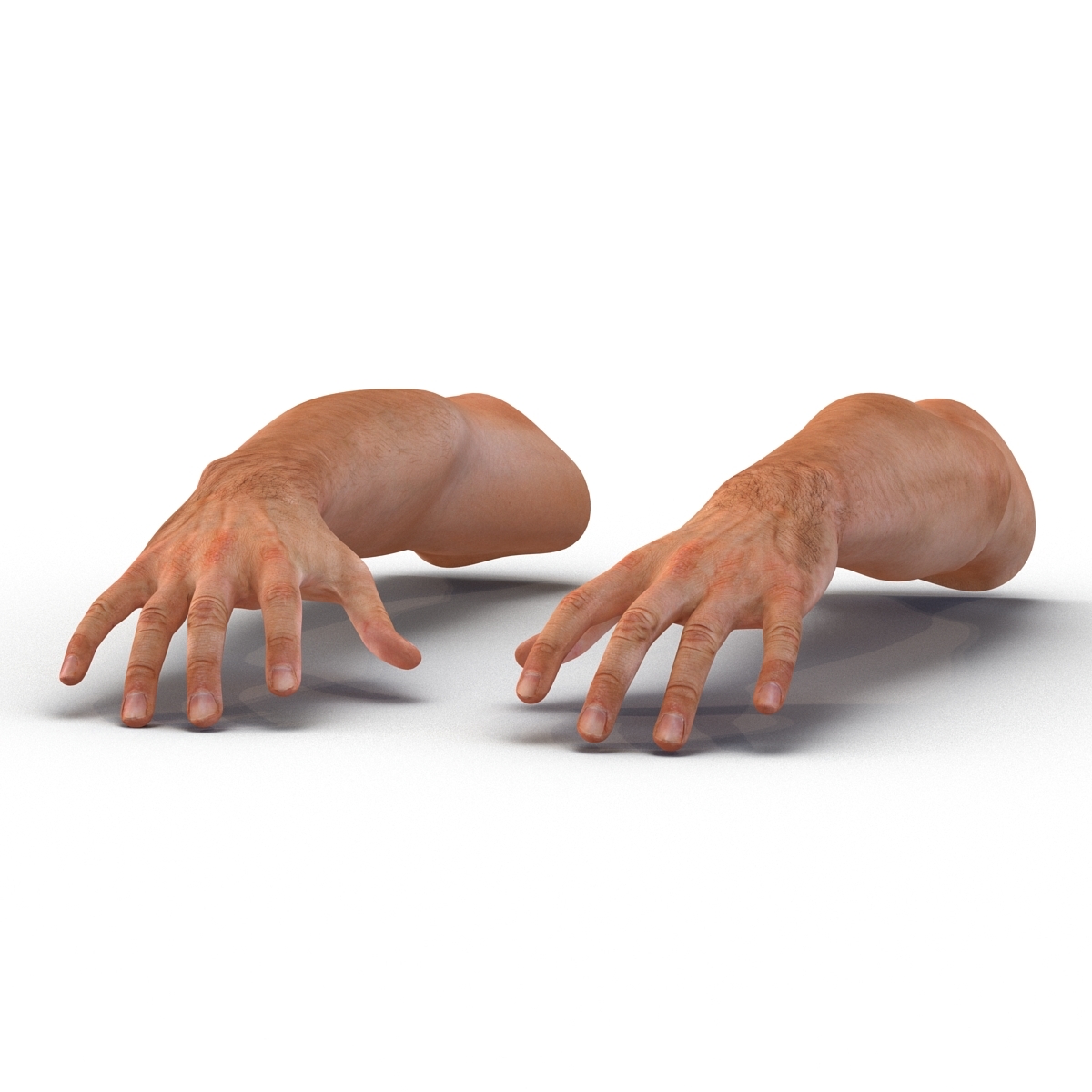 3d man hands model