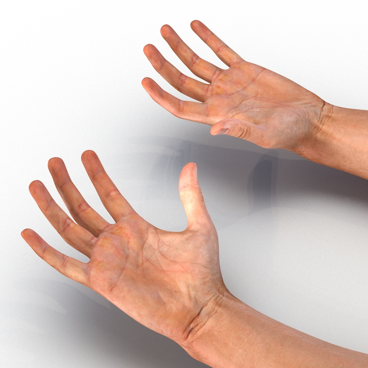 3d man hands model