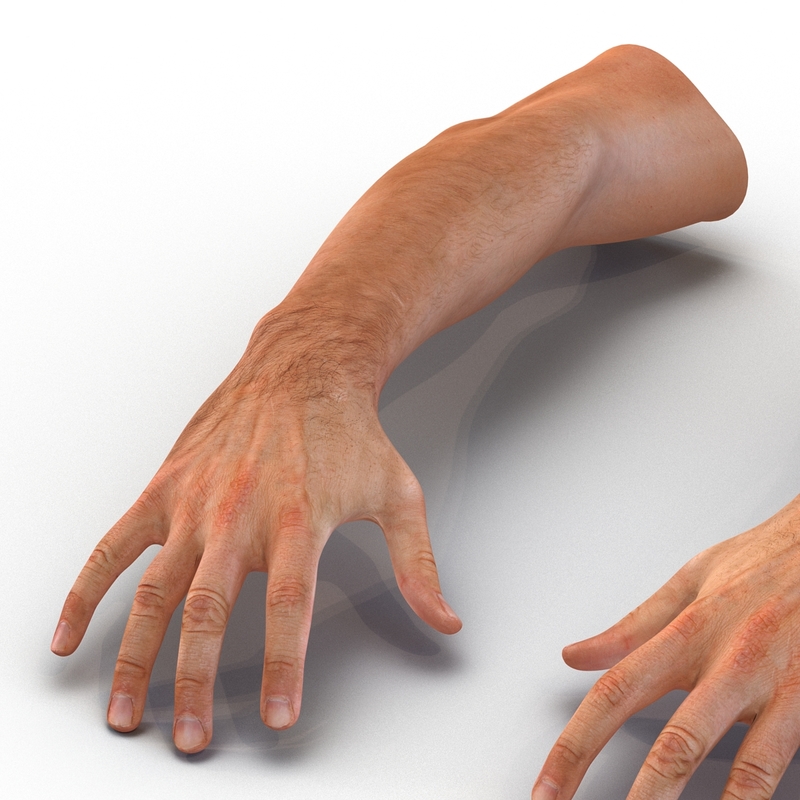 3d man hands model