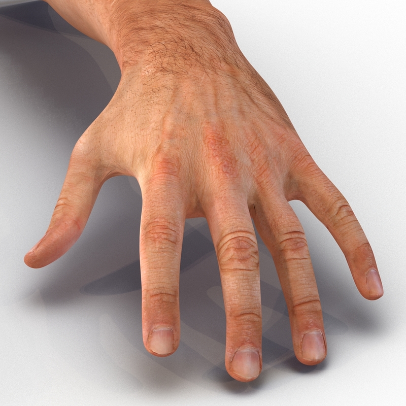 3d man hands model