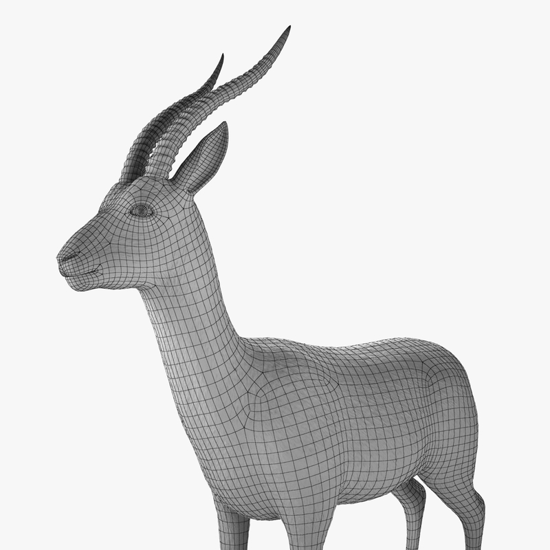3d thomson gazelle model