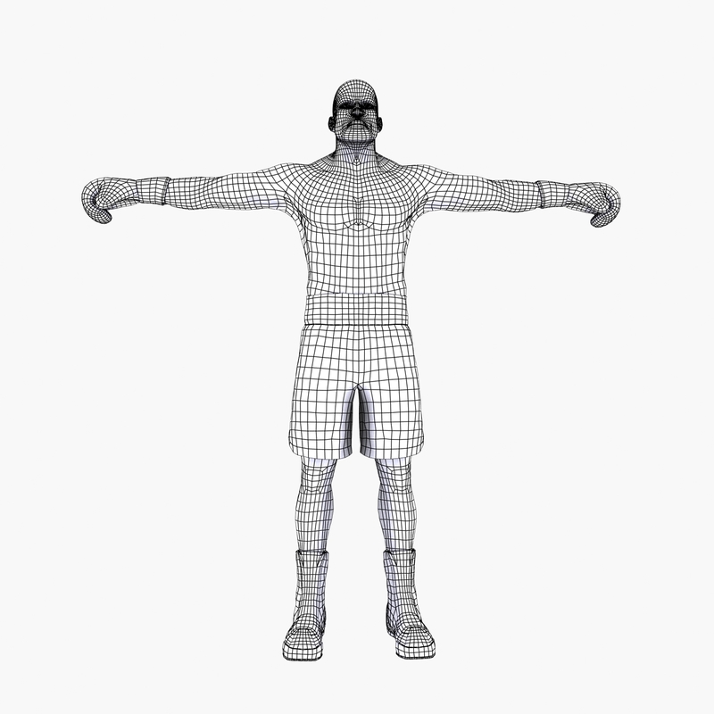 3d professional boxer model