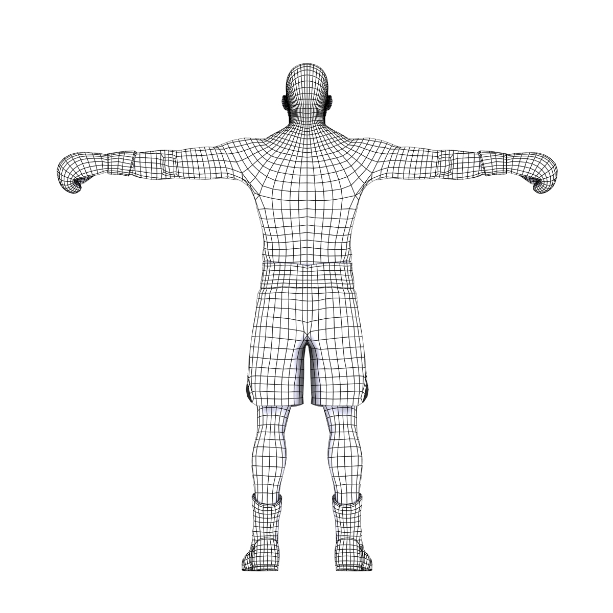 3d professional boxer model