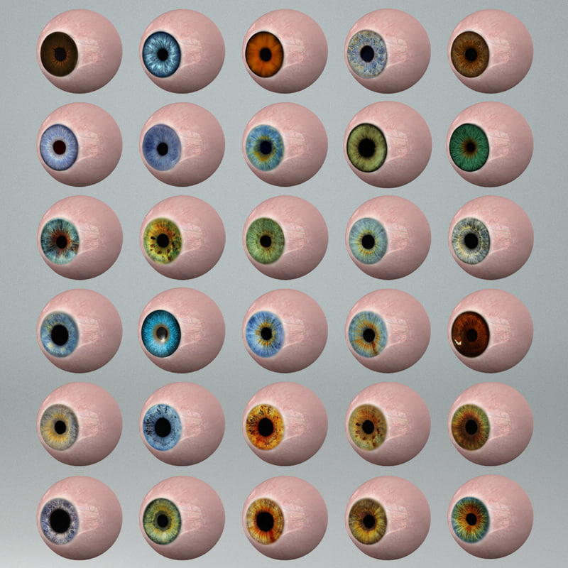human eye 30 sets 3d 3ds