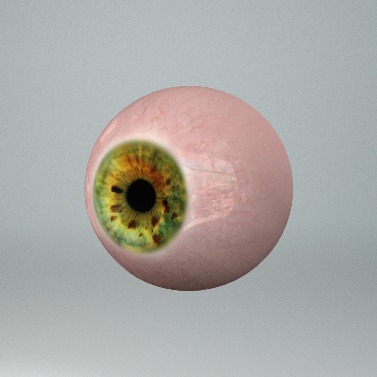 human eye 30 sets 3d 3ds
