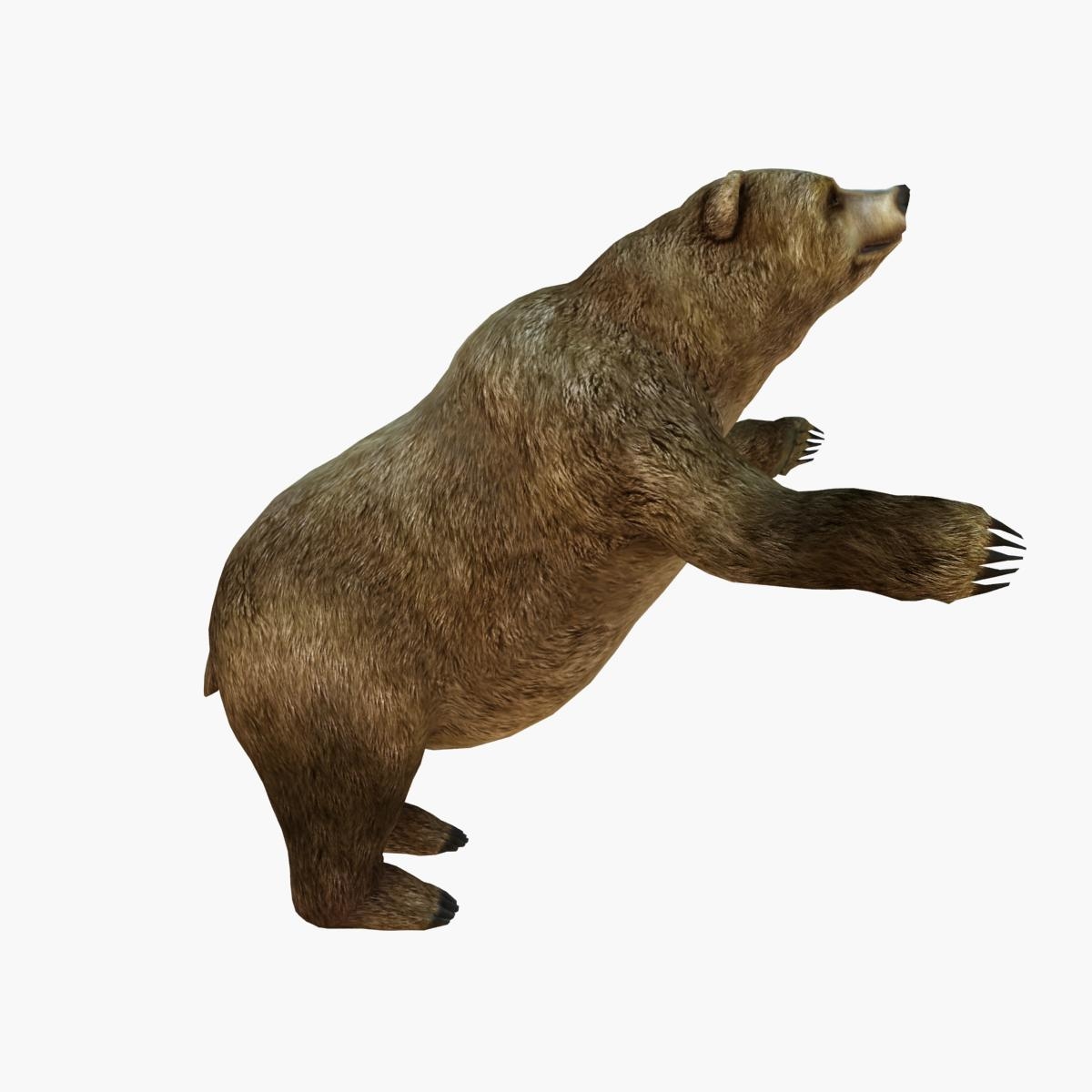 3d model bear