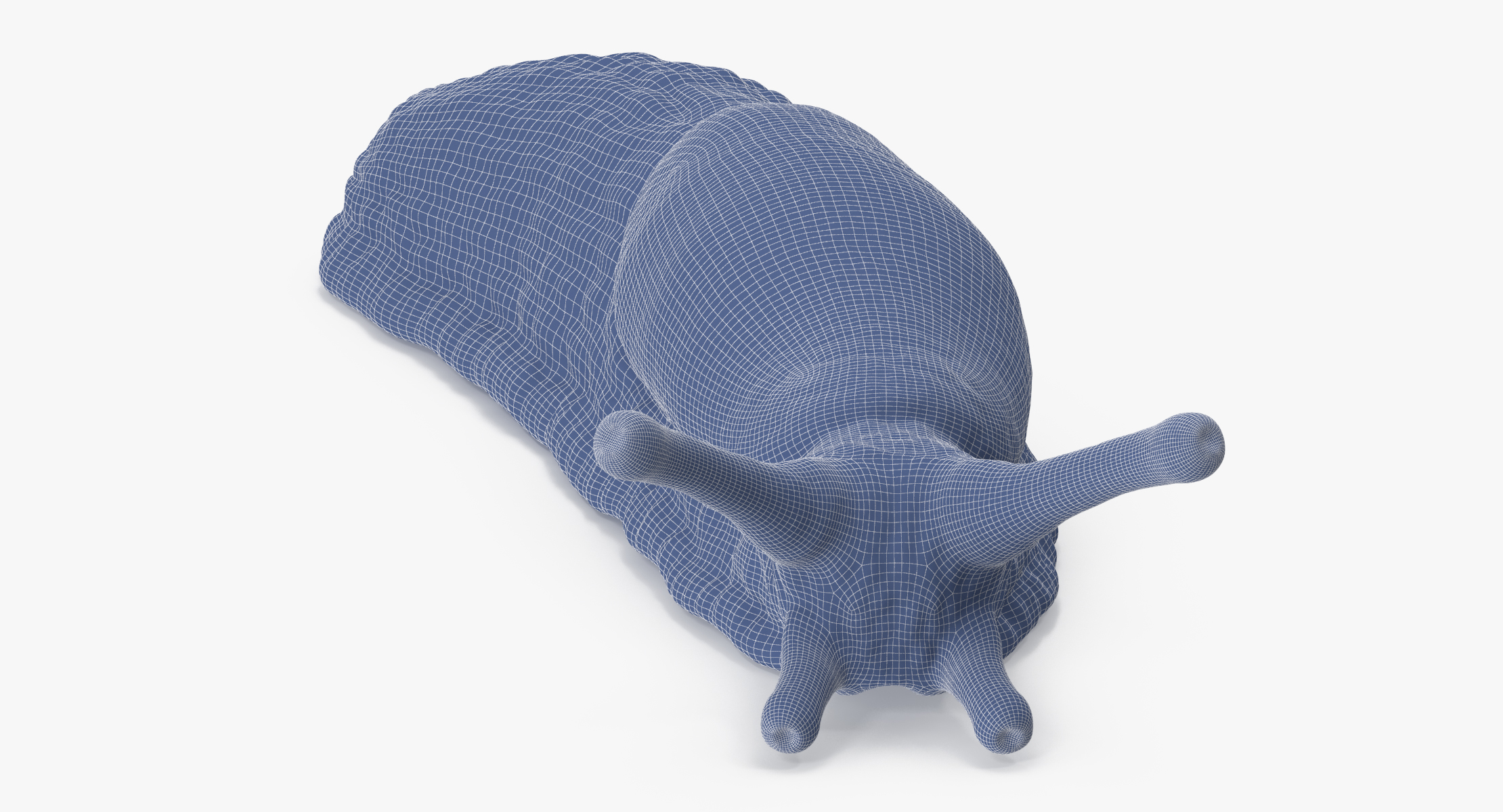 slug 01 3d model