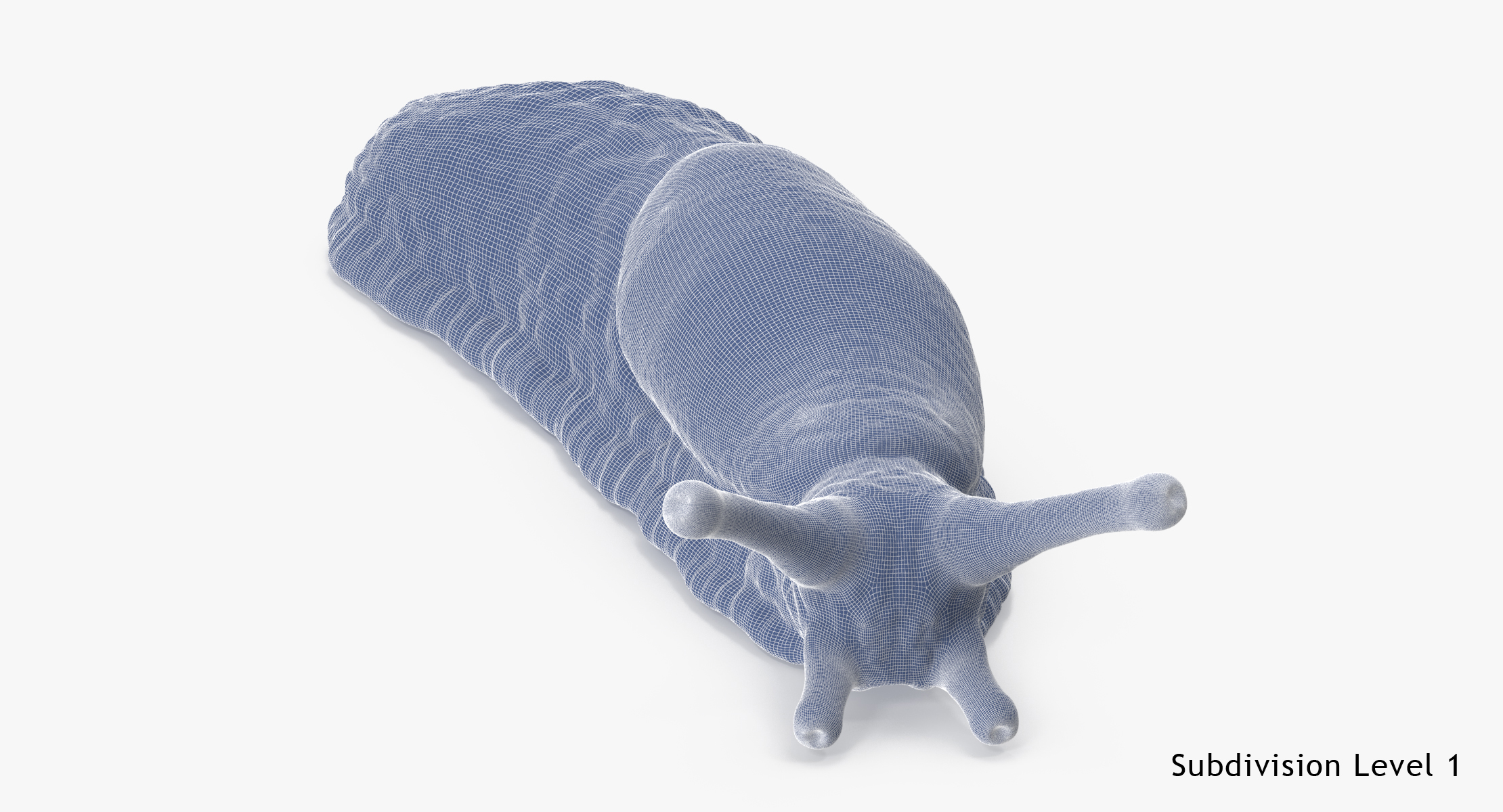 slug 01 3d model