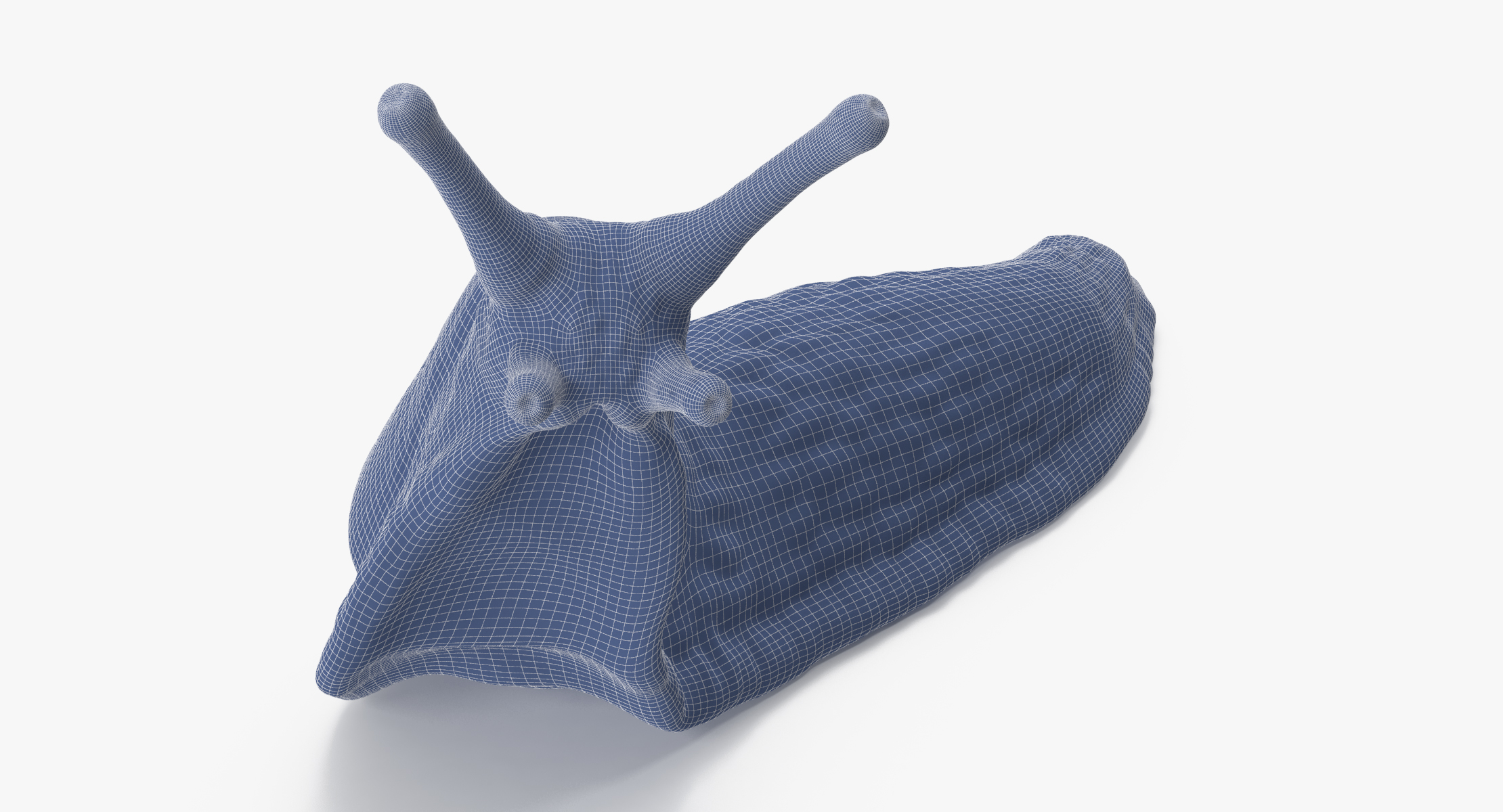 slug 03 3d model