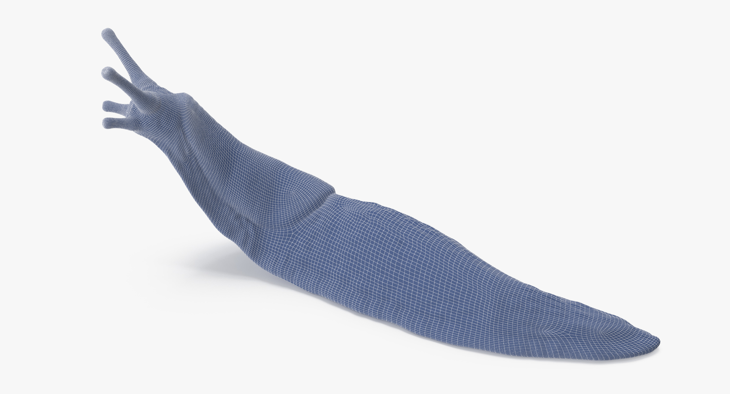 slug 03 3d model