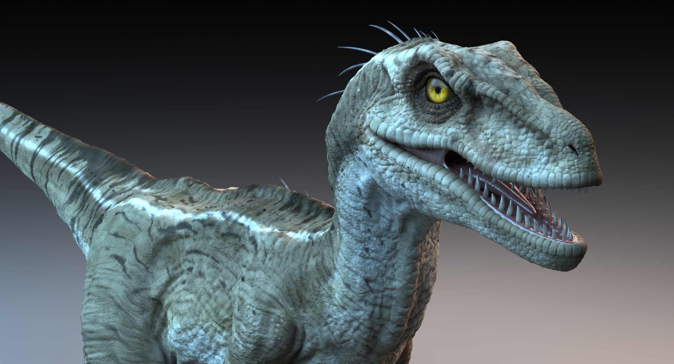 raptor dinosaur 3d model