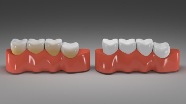 Blender Teeth Models | TurboSquid
