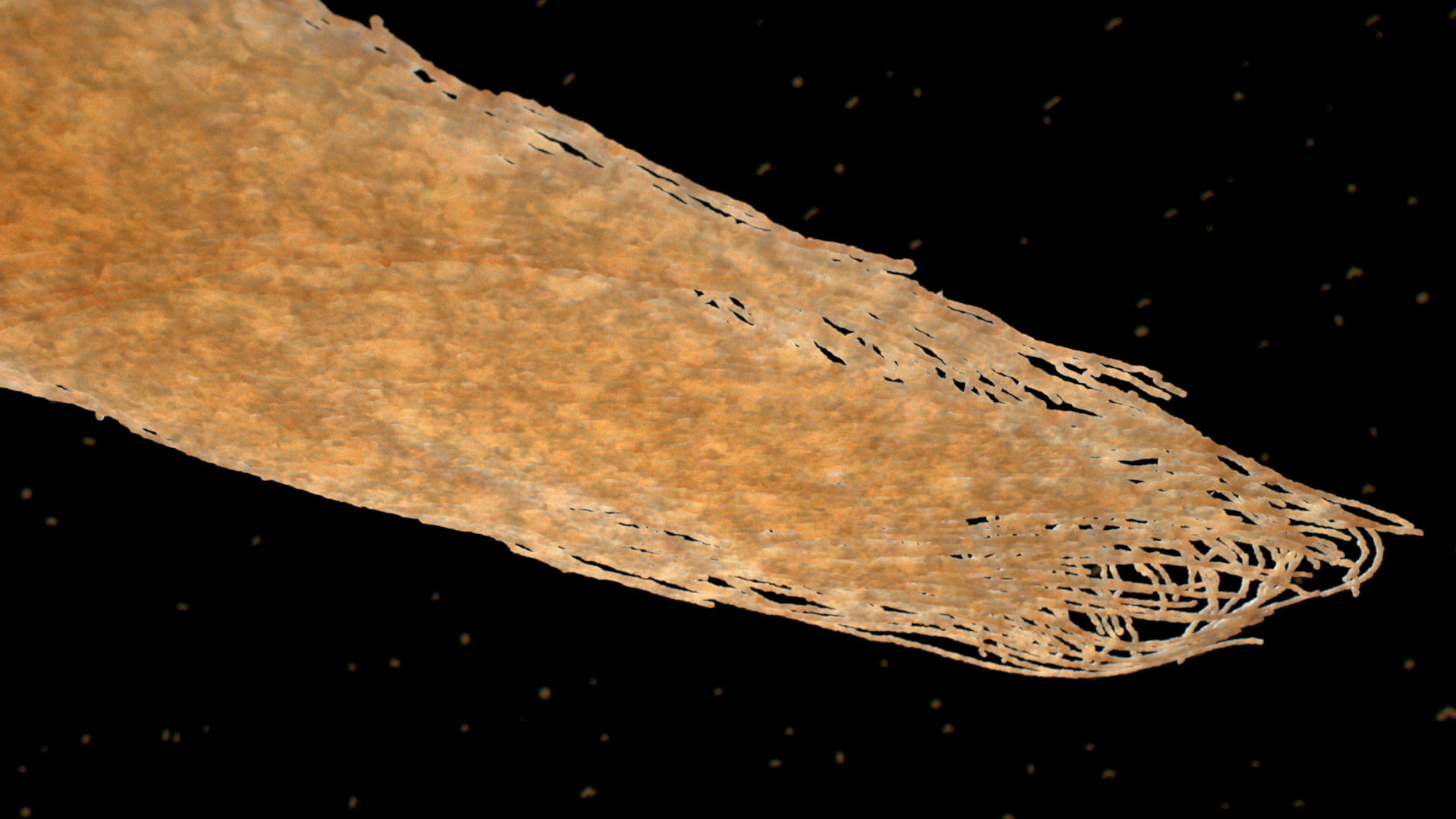 3d c4d organic fibrous tissue structure