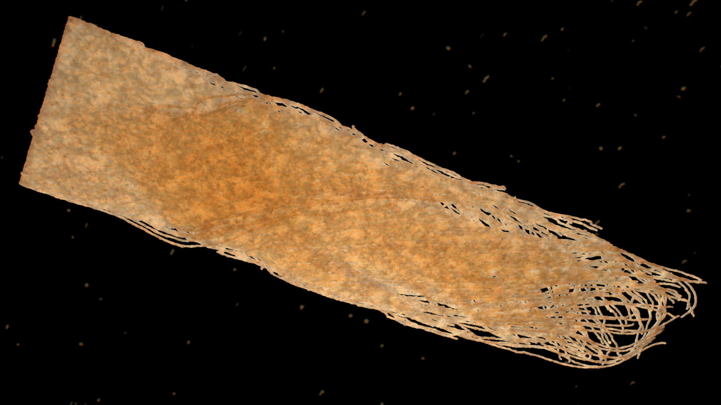 3d c4d organic fibrous tissue structure