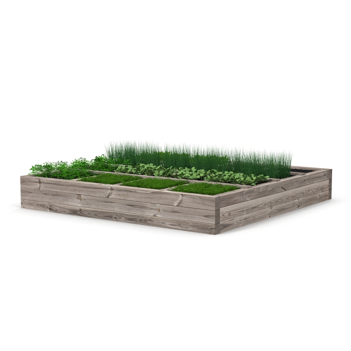 3d vegetable garden