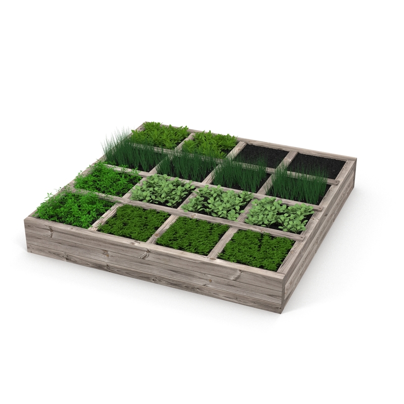 3d vegetable garden