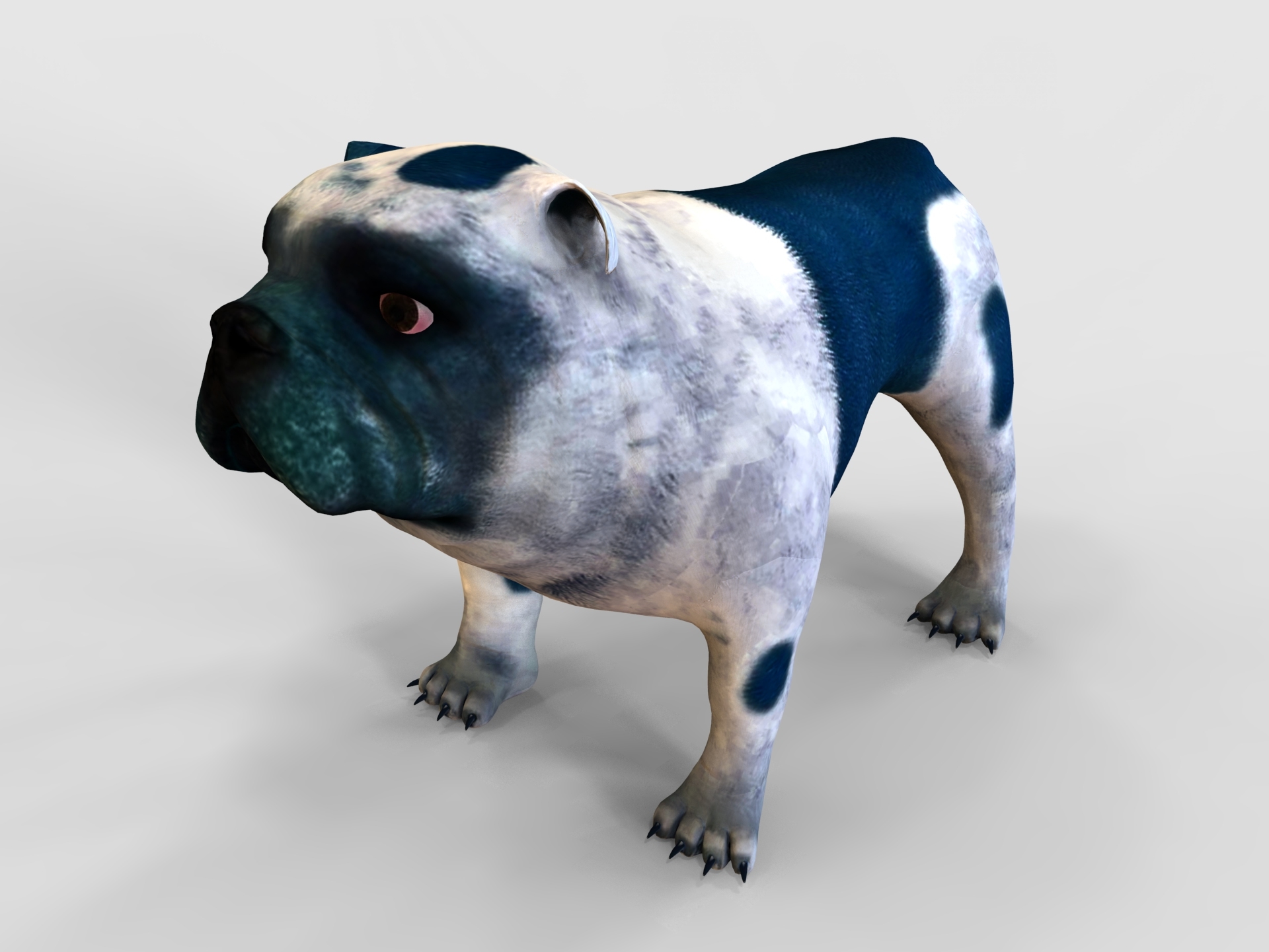 bulldog rigged 3d obj