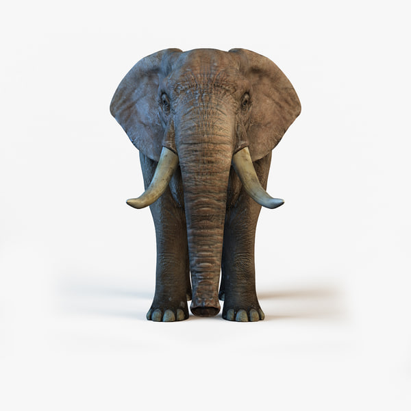 3d elephant