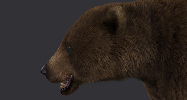 bear fur animation 3d