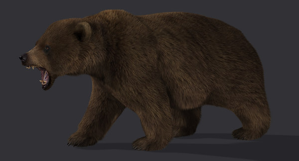 bear fur animation 3d