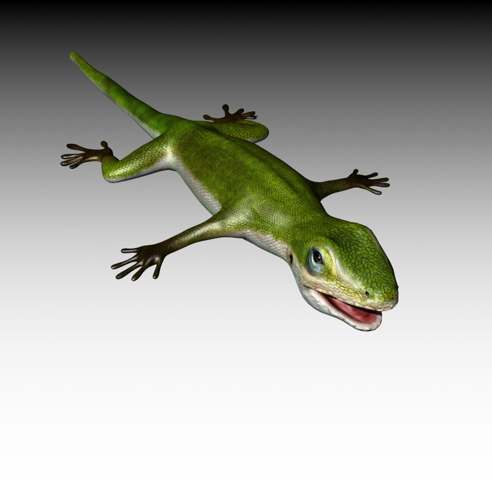 3d model green lizard animation rigged