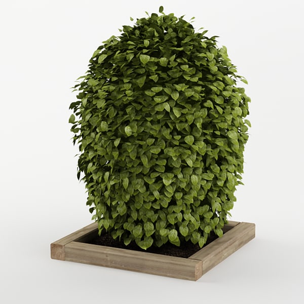 bush 3d max