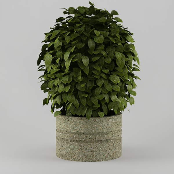 부시 09 3D 모델 - TurboSquid 460208