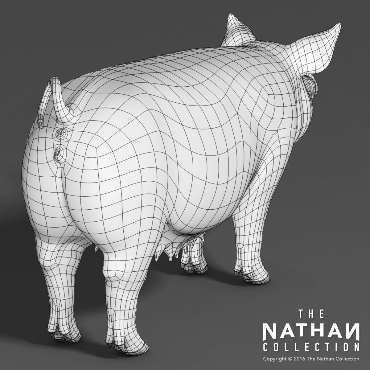 3d model pig adult female fur