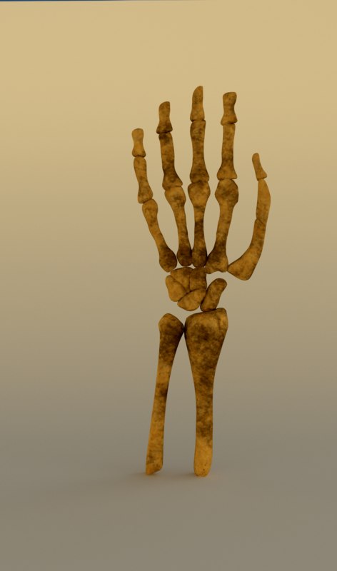skeleton hand 3d obj