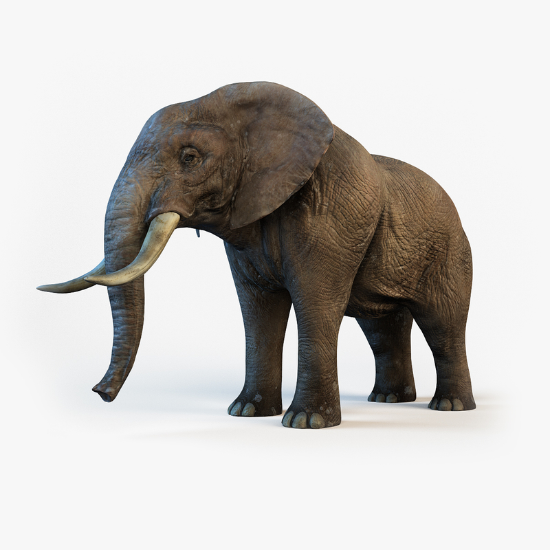 3d elephant