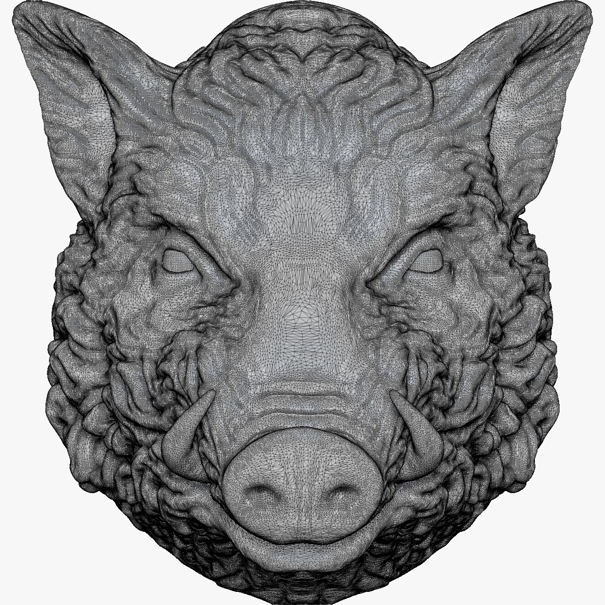 3d boar head