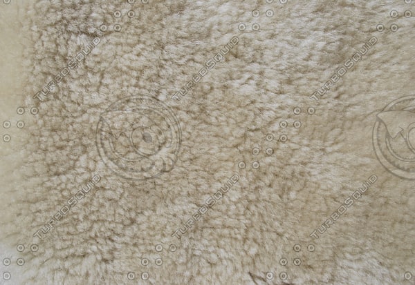 Texture JPEG fur texture sheepskin
