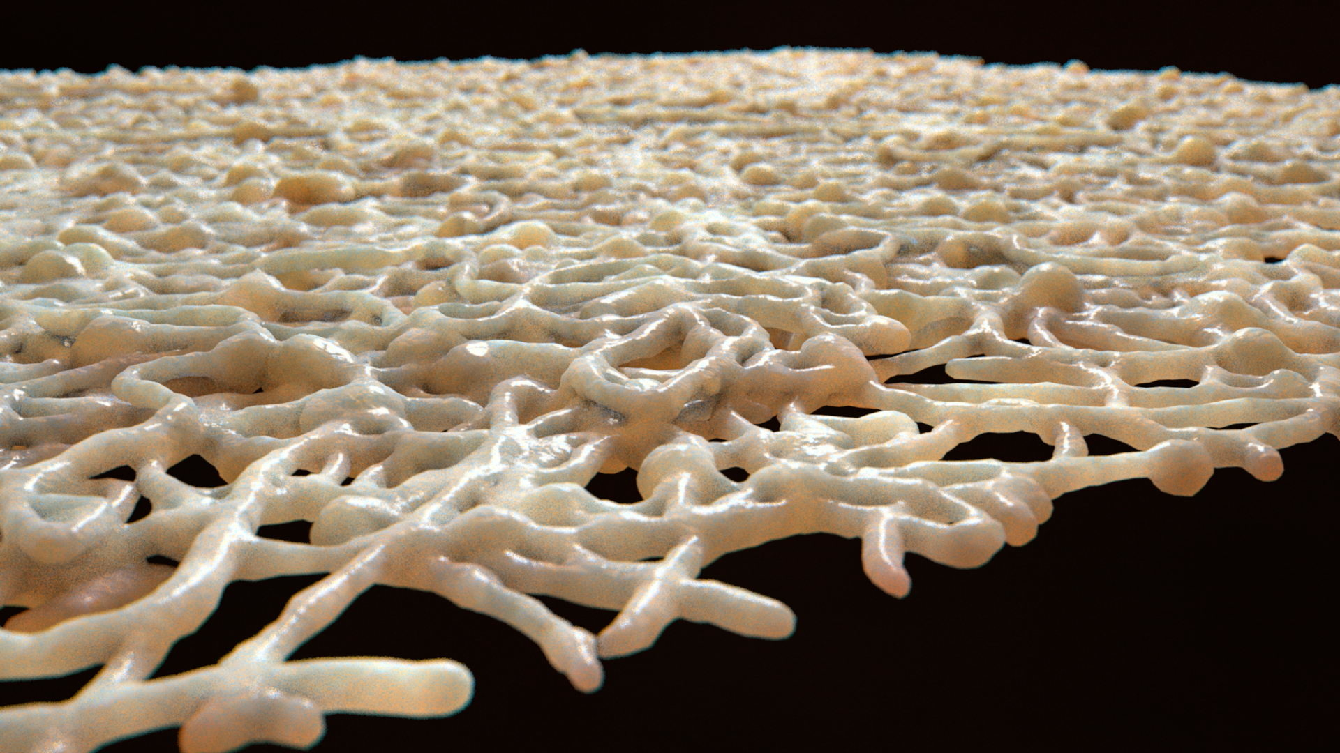 3d model of organic fibrous tissue