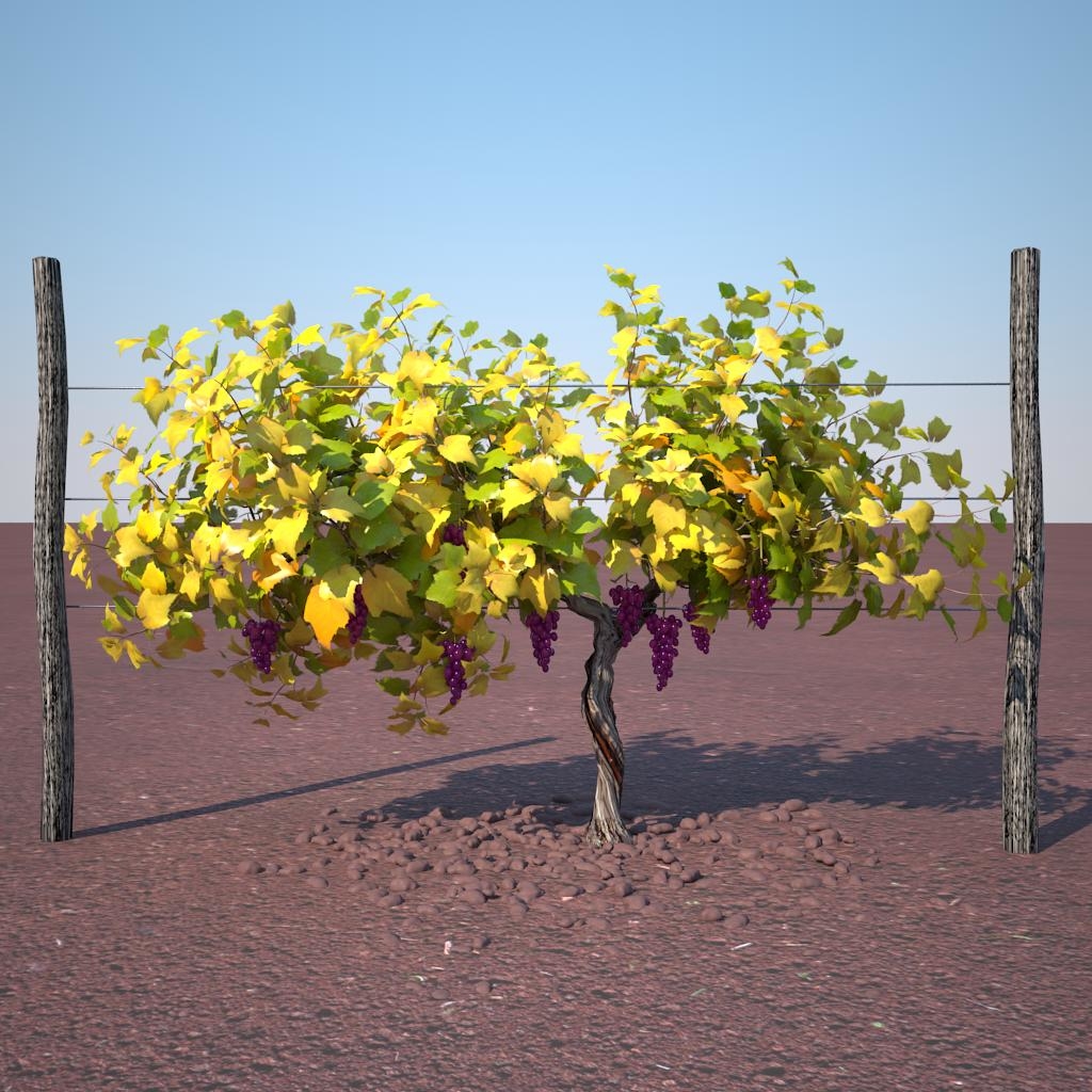 vineyard pack 3d max
