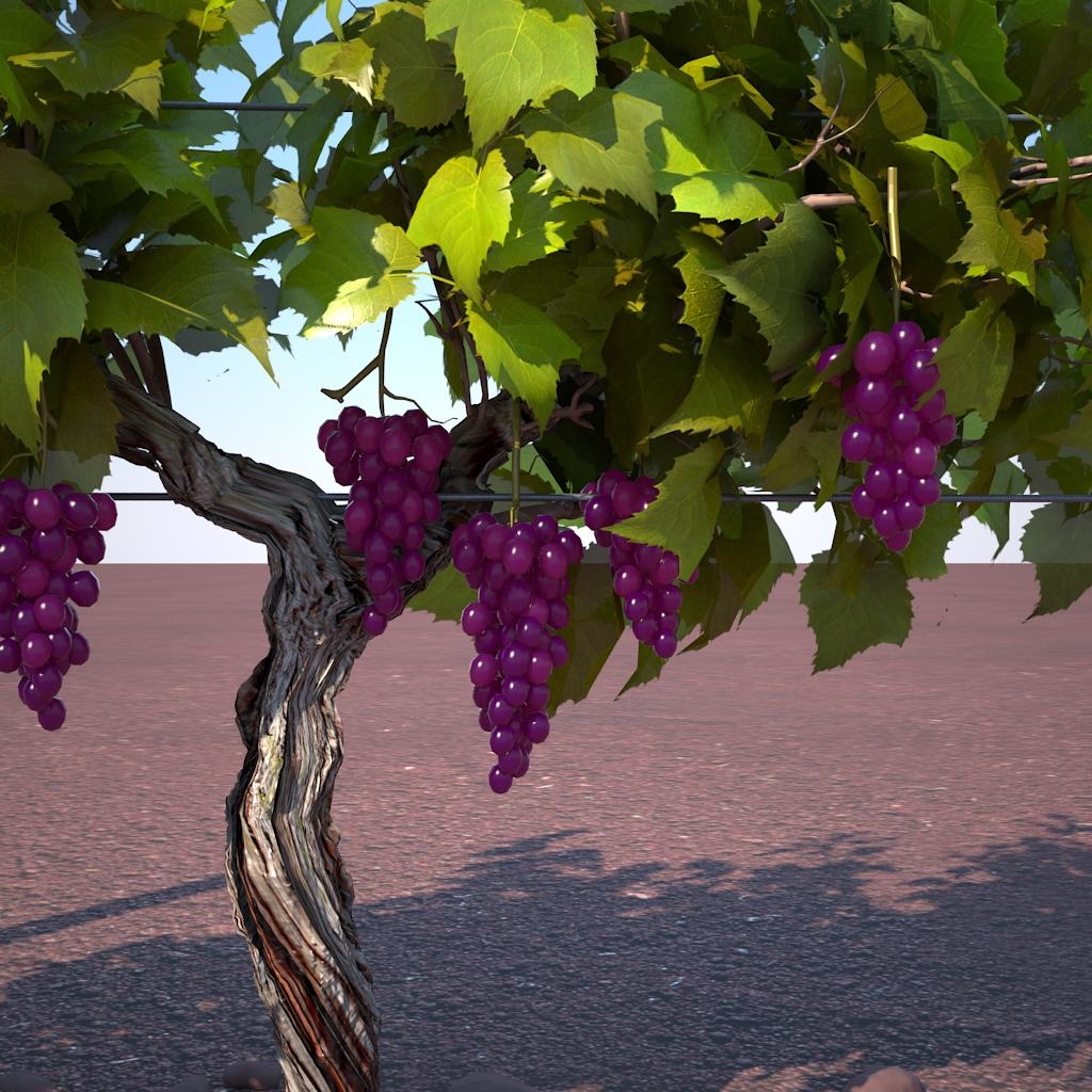 vineyard pack 3d max