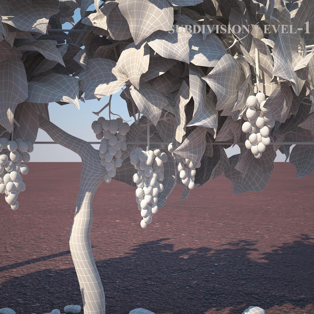 vineyard pack 3d max