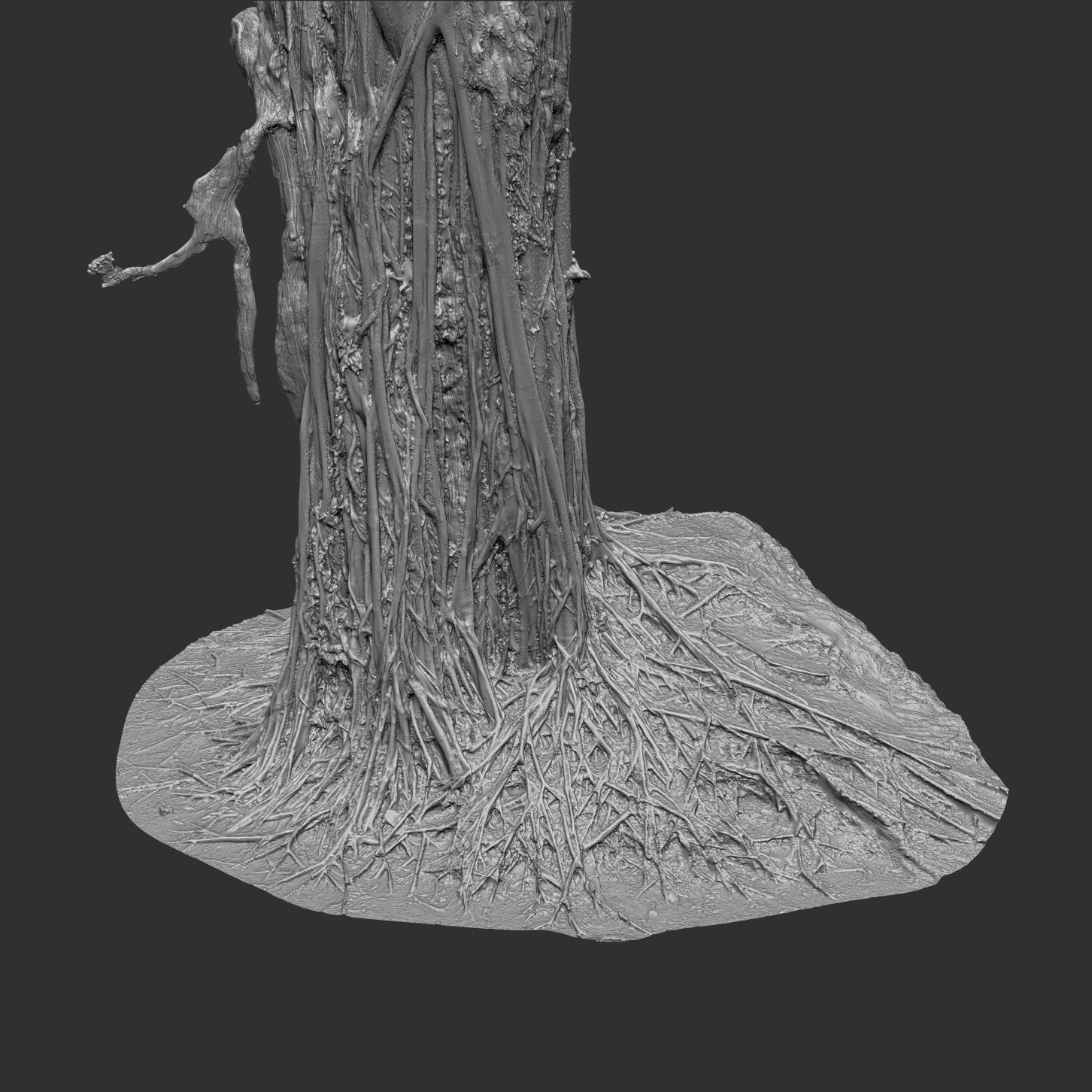 3d jungle tree 16k model