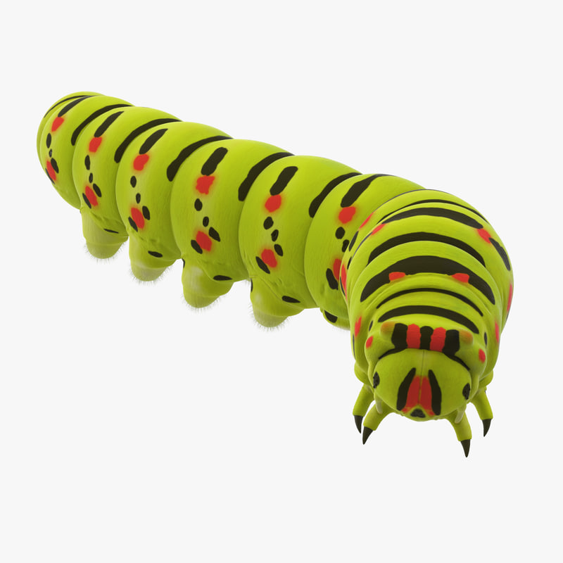 rigged caterpillar 3d model
