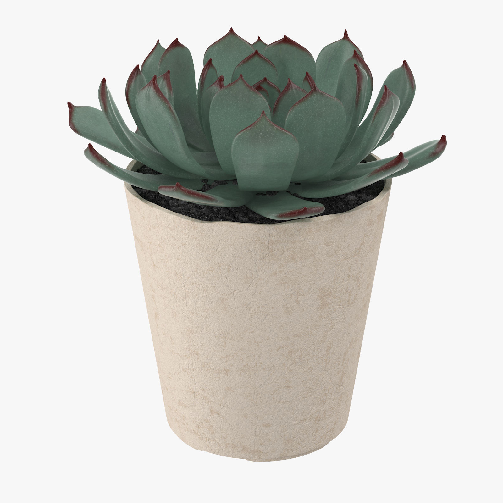 23 succulents 3d model