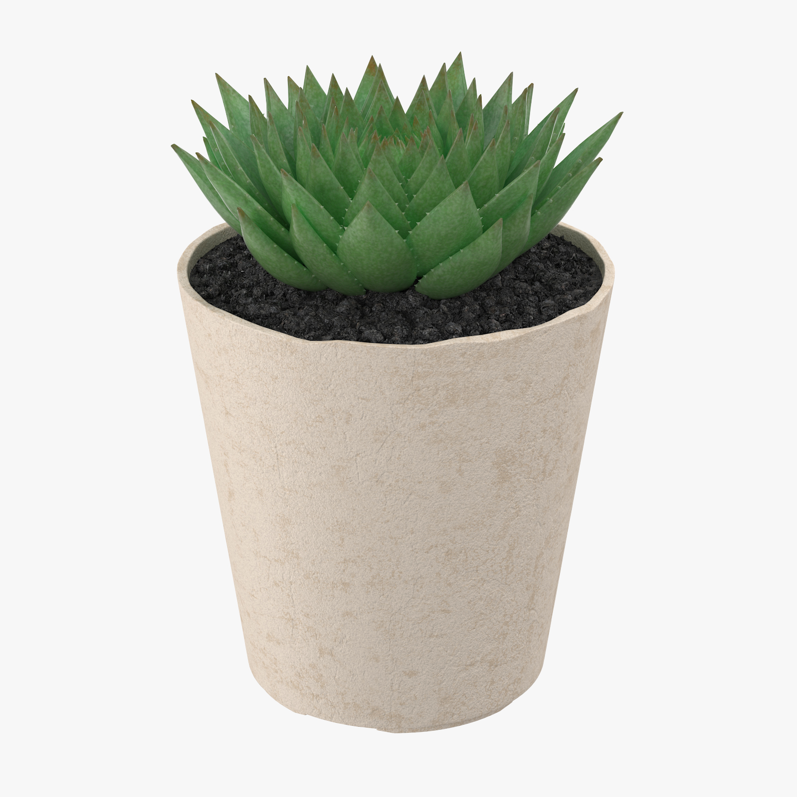 23 succulents 3d model