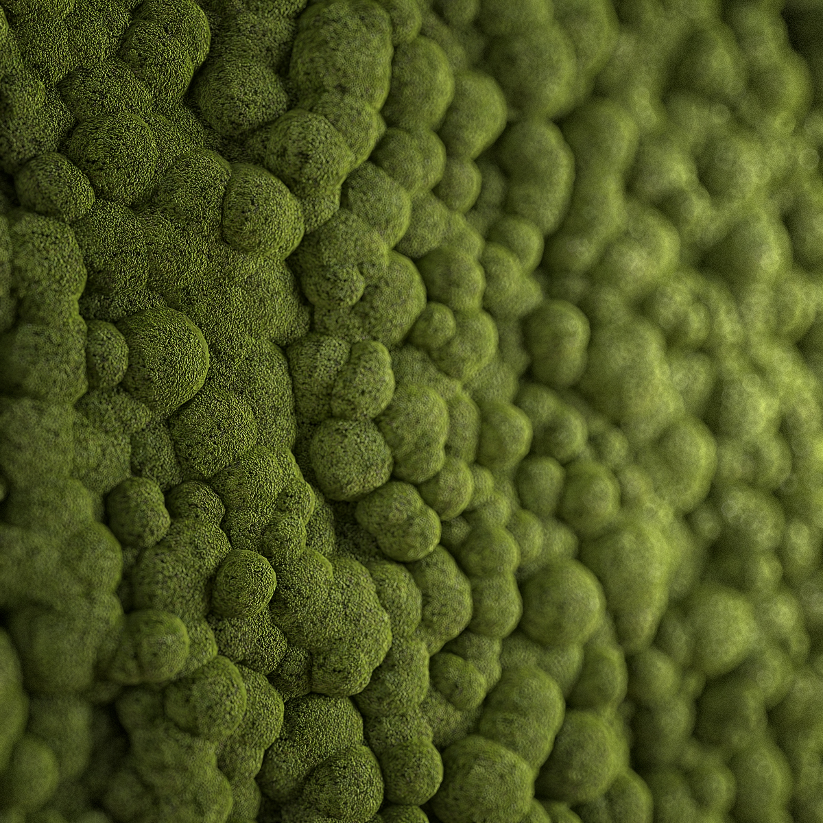 3d model photorealistic moss