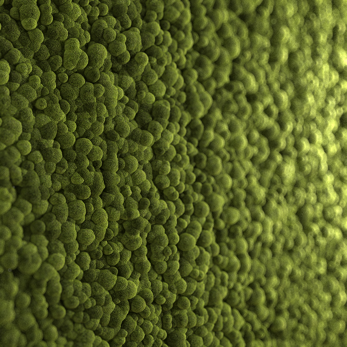 3d model photorealistic moss