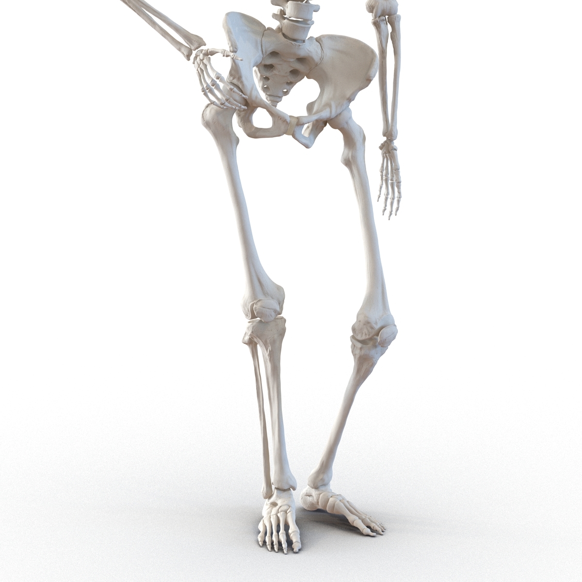 3d human female skeleton pose