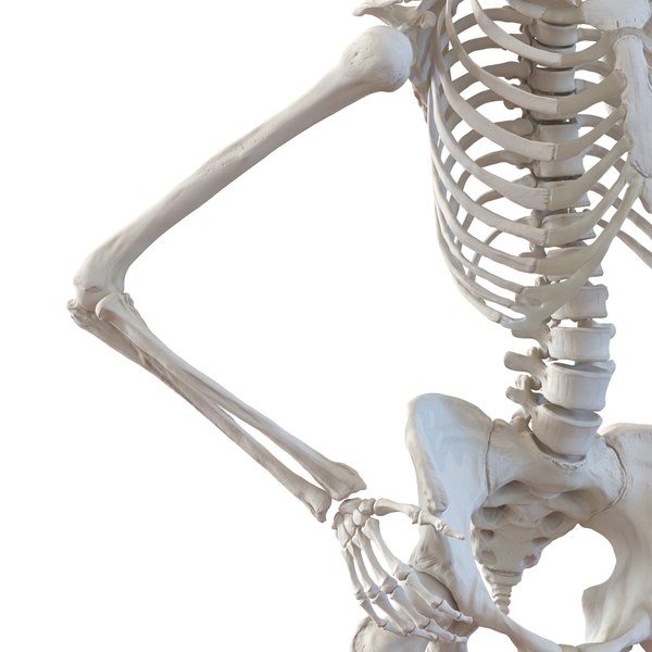 3d human female skeleton pose