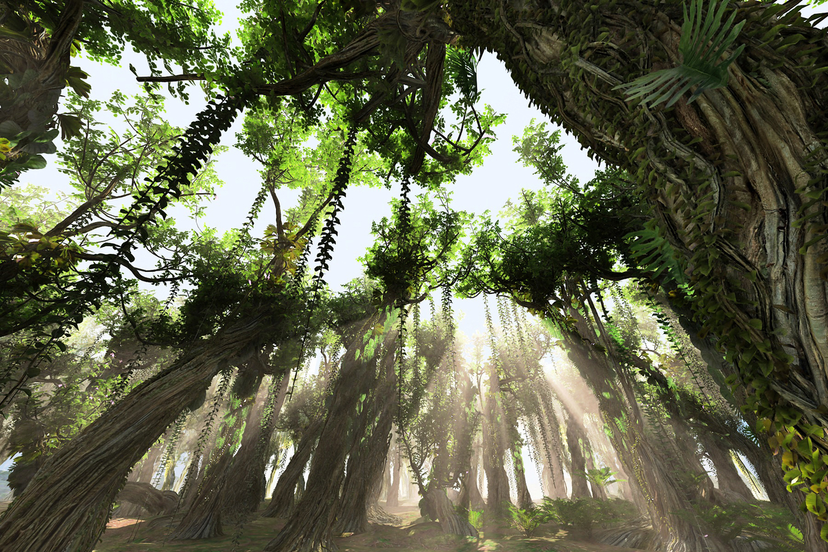 3d model rainforest ultra hd