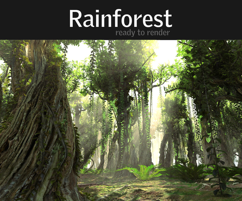 3d model rainforest ultra hd