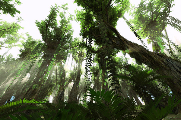 3d model rainforest ultra hd