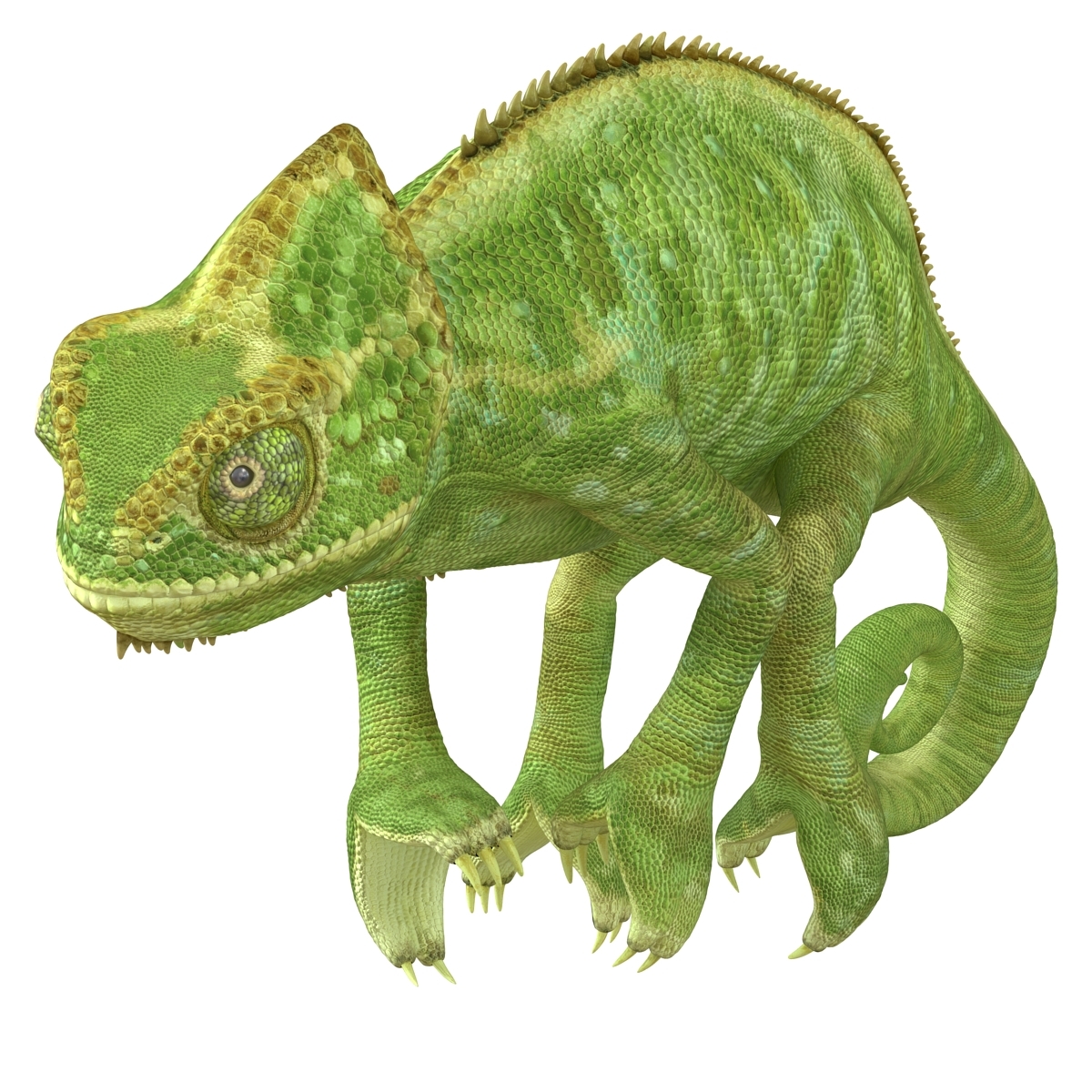 3d chameleon rigged